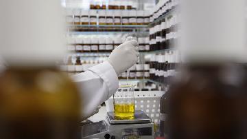 BLIS | Bliss GVS Pharma Ltd Share Price - Investing.com India